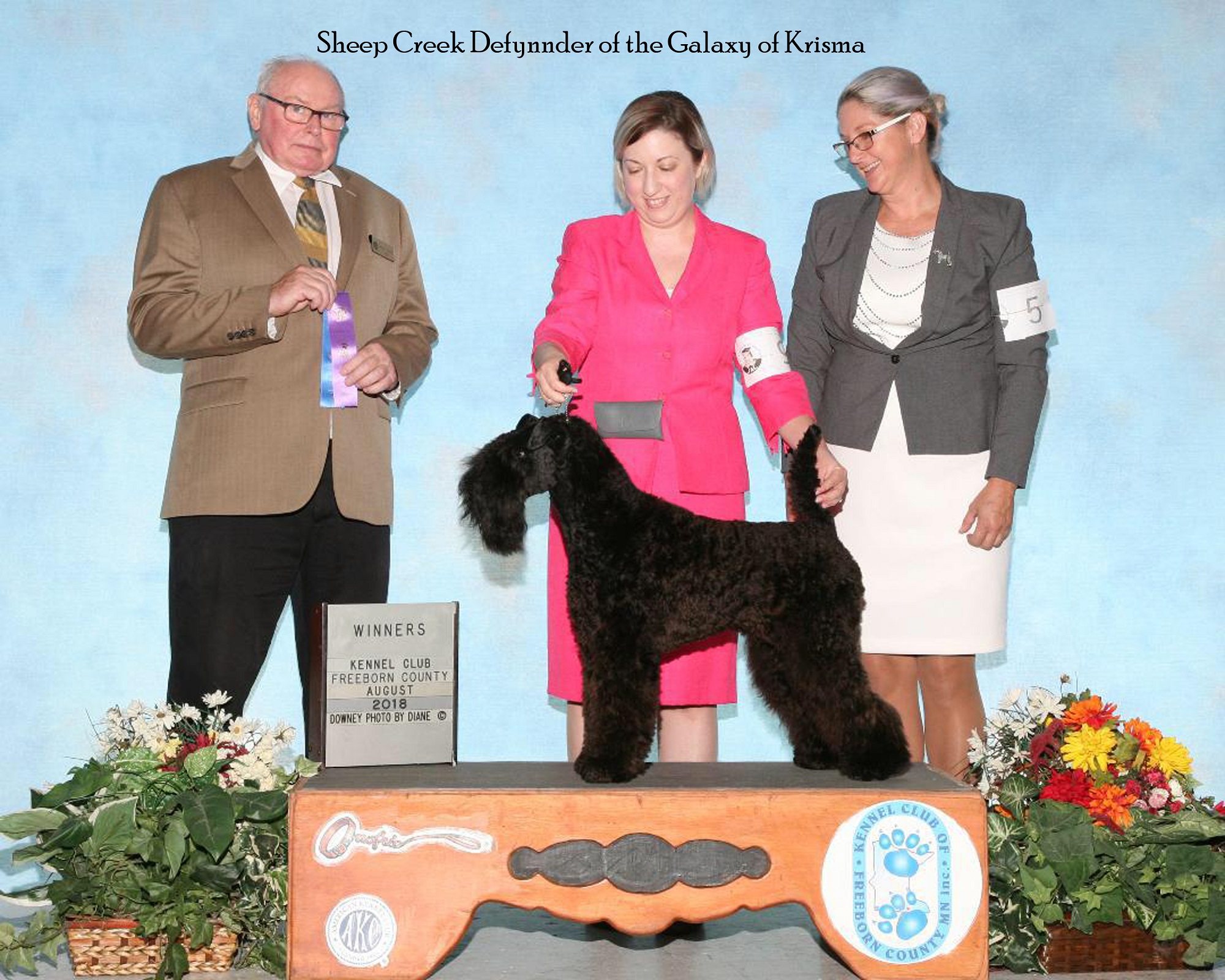 Fynn – East Sheep Creek