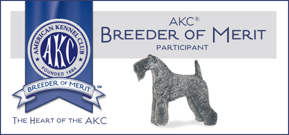 East Sheep Creek – Kerry Blue Terriers Bred and Raised in our Home