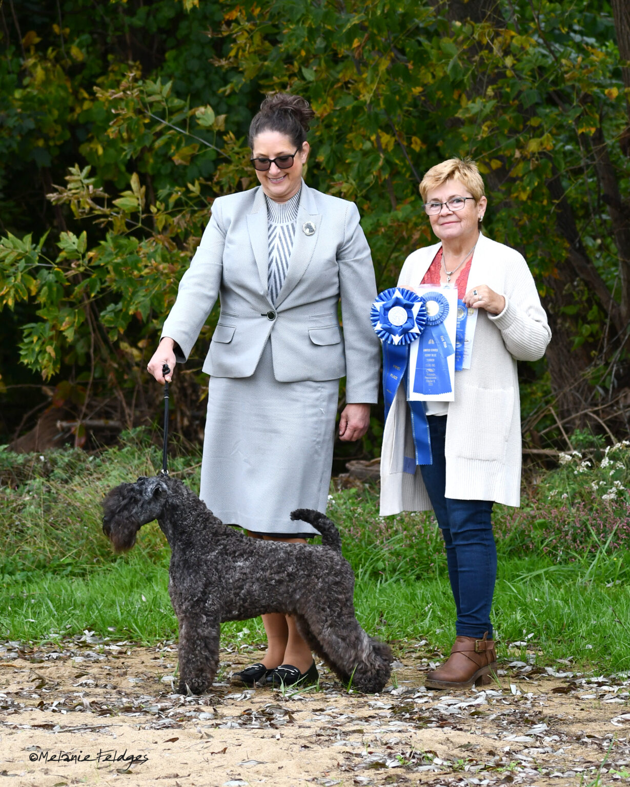 East Sheep Creek – Just a groovy Kerry Blue Terrier site (with British Guernsey Goats)