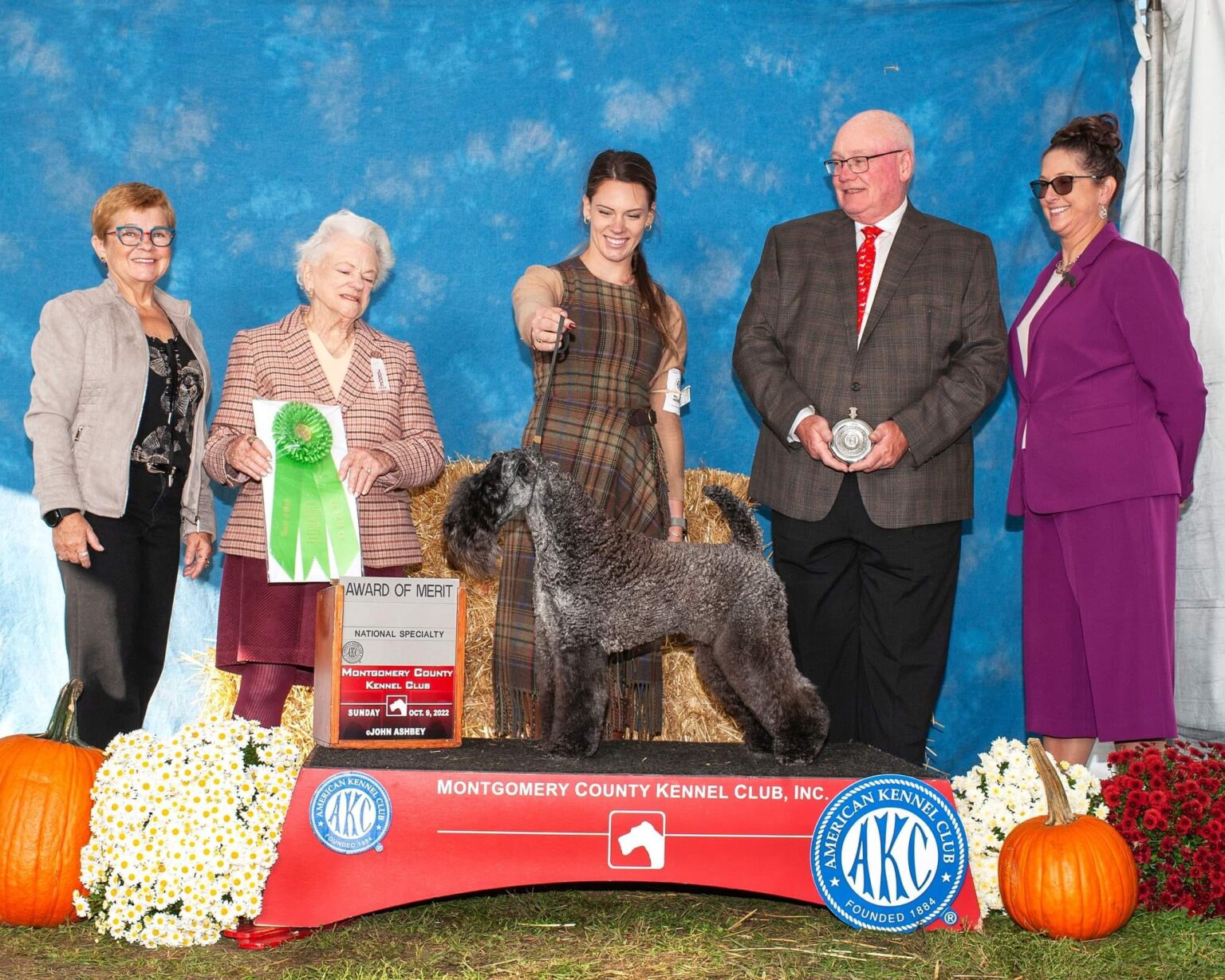 East Sheep Creek – Just a groovy Kerry Blue Terrier site (with British Guernsey Goats)