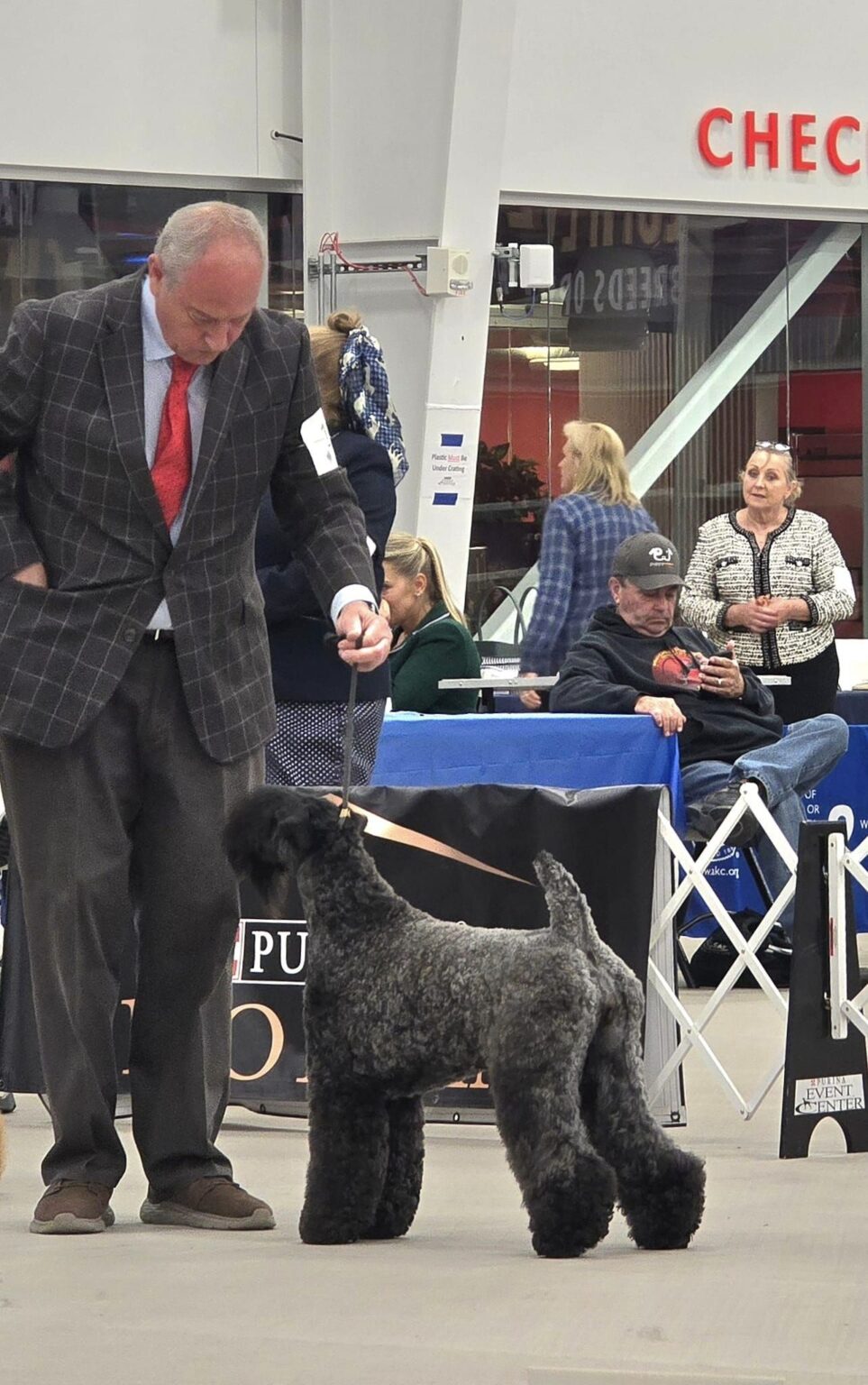 East Sheep Creek – Kerry Blue Terriers Bred and Raised in our Home