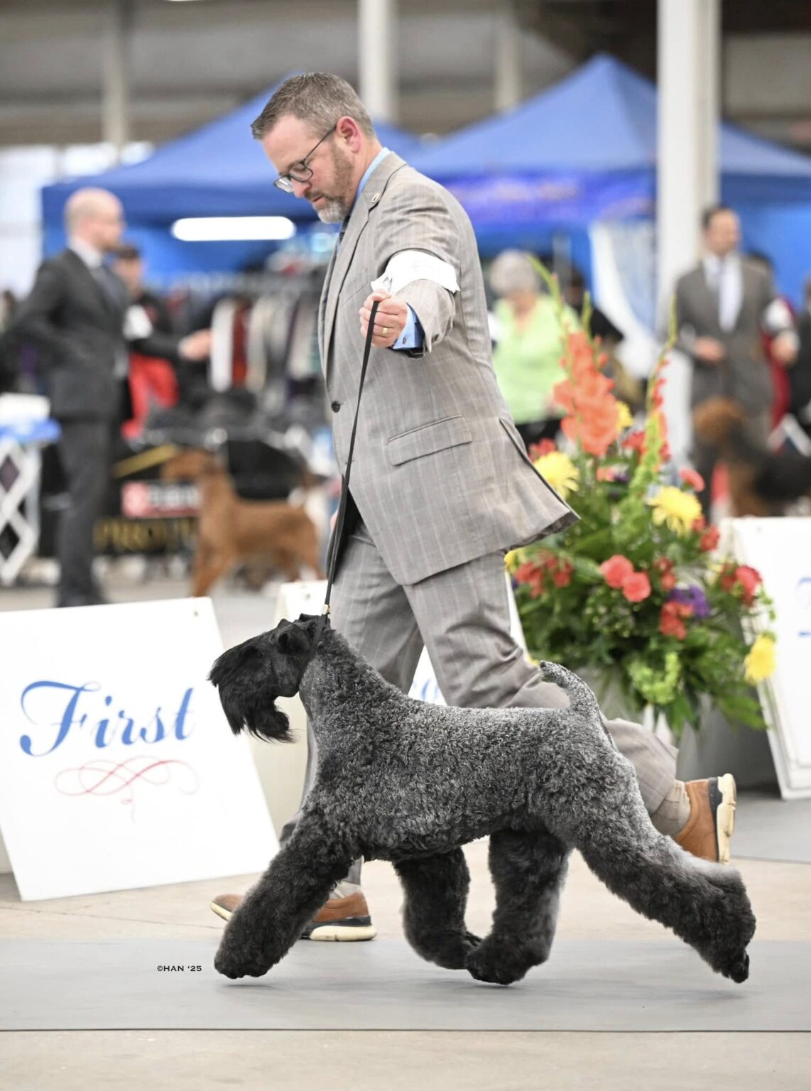 The Art of Show Dog Movement: Finding Balance in Motion – East Sheep Creek